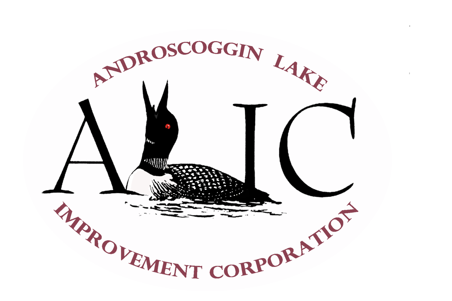 Home - Androscoggin Lake Association