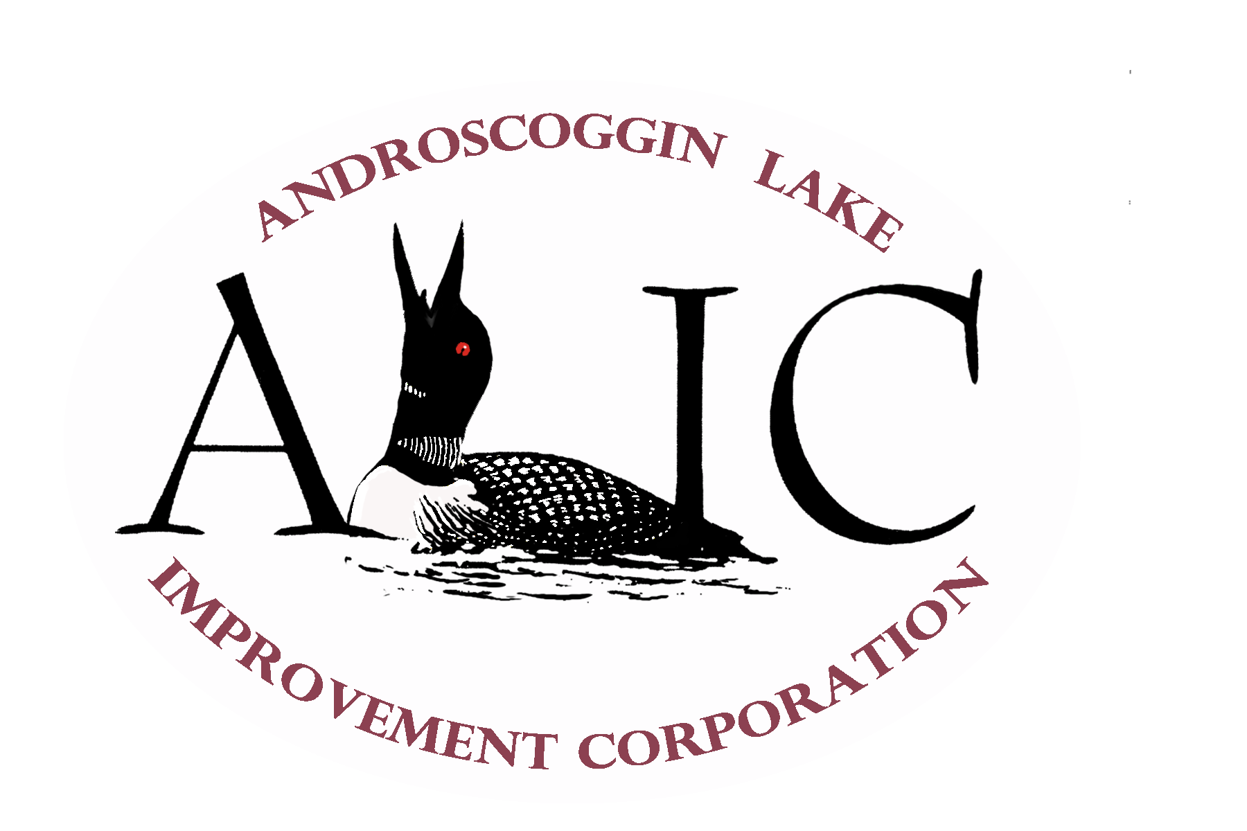 Home - Androscoggin Lake Association
